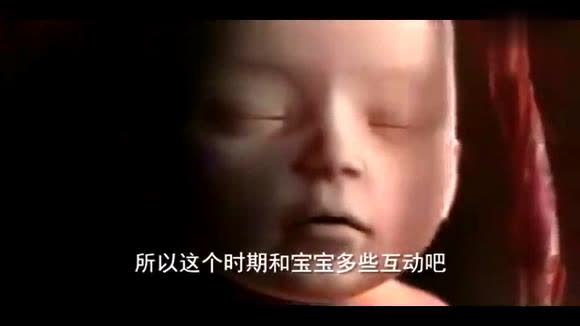 胎儿从形成到出生全过程,生命的奇迹妙不可言!
