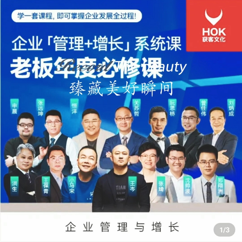 【王岑专享】企业(管理➕增长)系统课