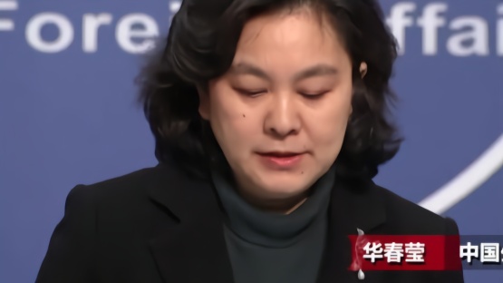 中国生产试剂盒检测结果不准?外交部表态