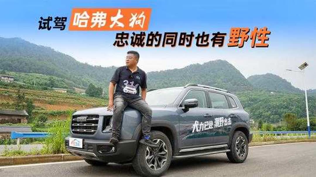 试驾哈弗大狗:这条狗不仅有忠诚度还有野性