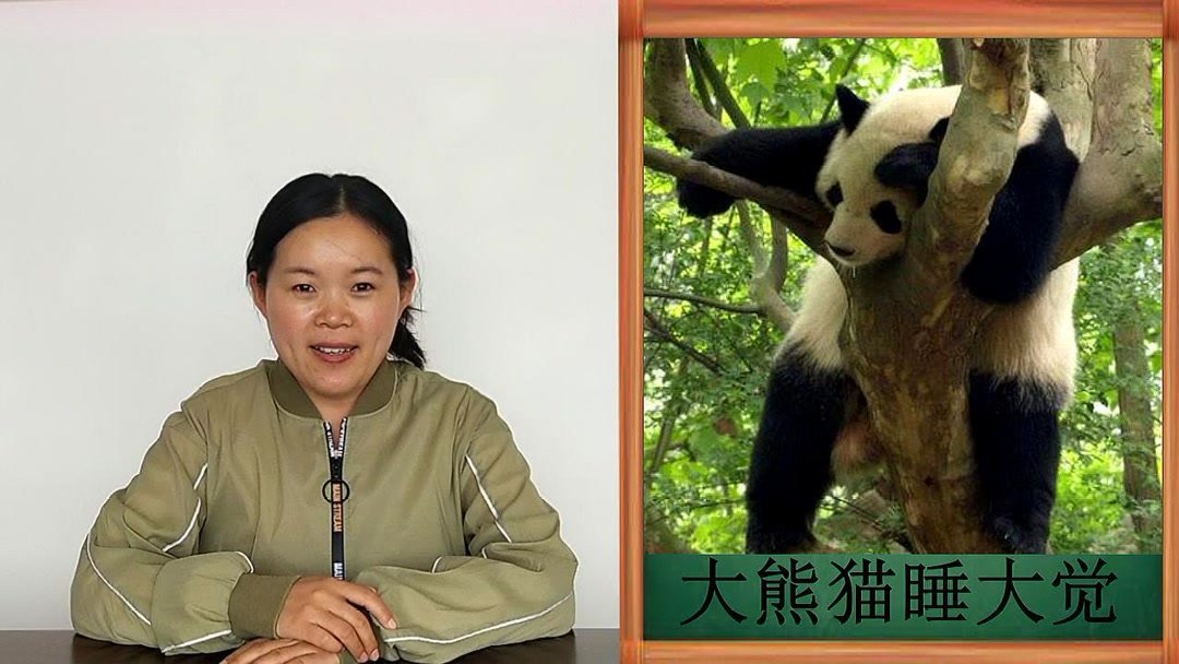 幼儿园大班社会领域《睡眠很重要》