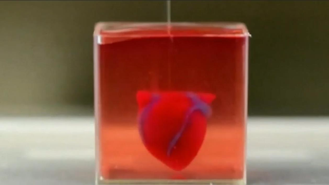 人类技术的突破,3D打印出能用的心脏,你离长寿还有多久