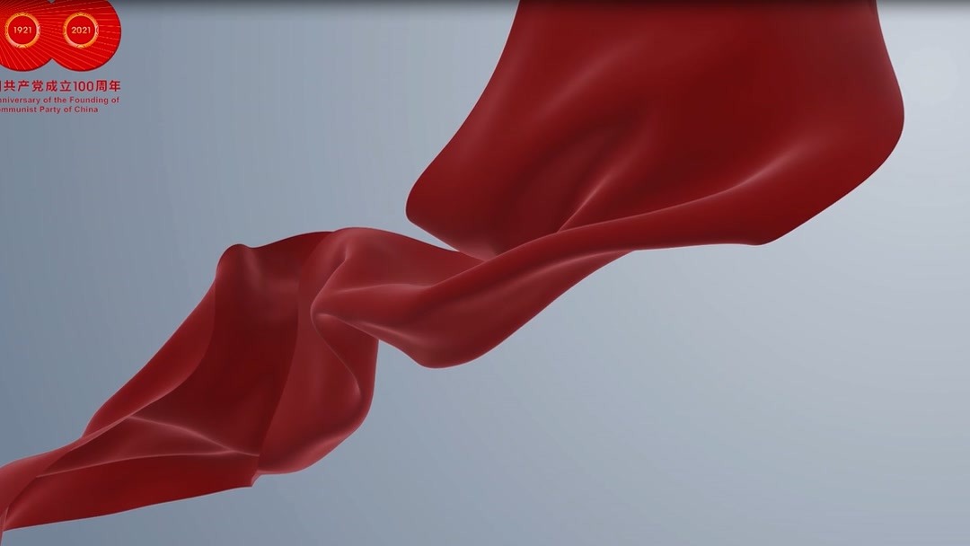 2021党建总结宣传视频