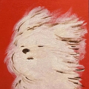 小汪努力考数学 