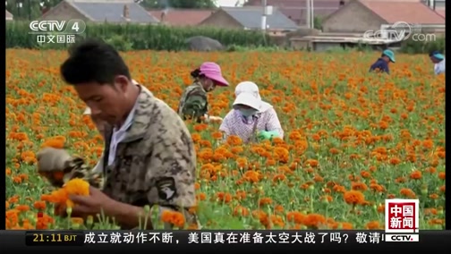 [中国新闻]庆中秋迎国庆 多彩活动祝福祖国