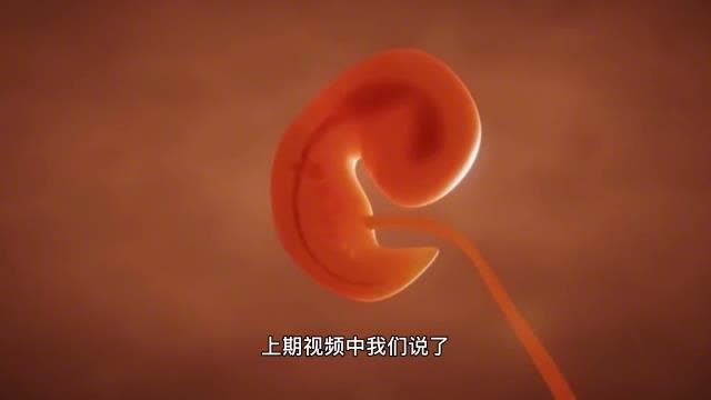 人类语言的进化,竟是为了更好的聊八卦!而聊八卦竟然统治了世界