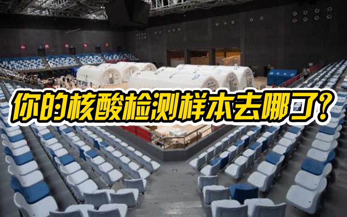 你的核酸检测样本去哪儿了?探访北京“火眼”实验室