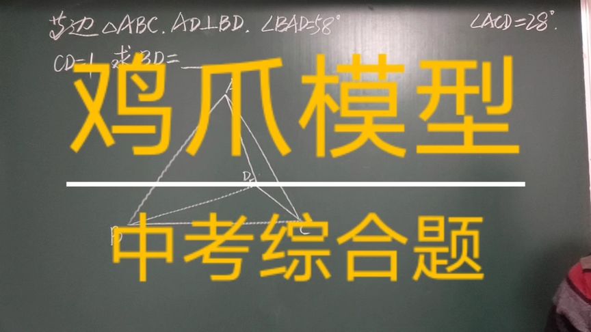 鸡爪模型解中考综合题