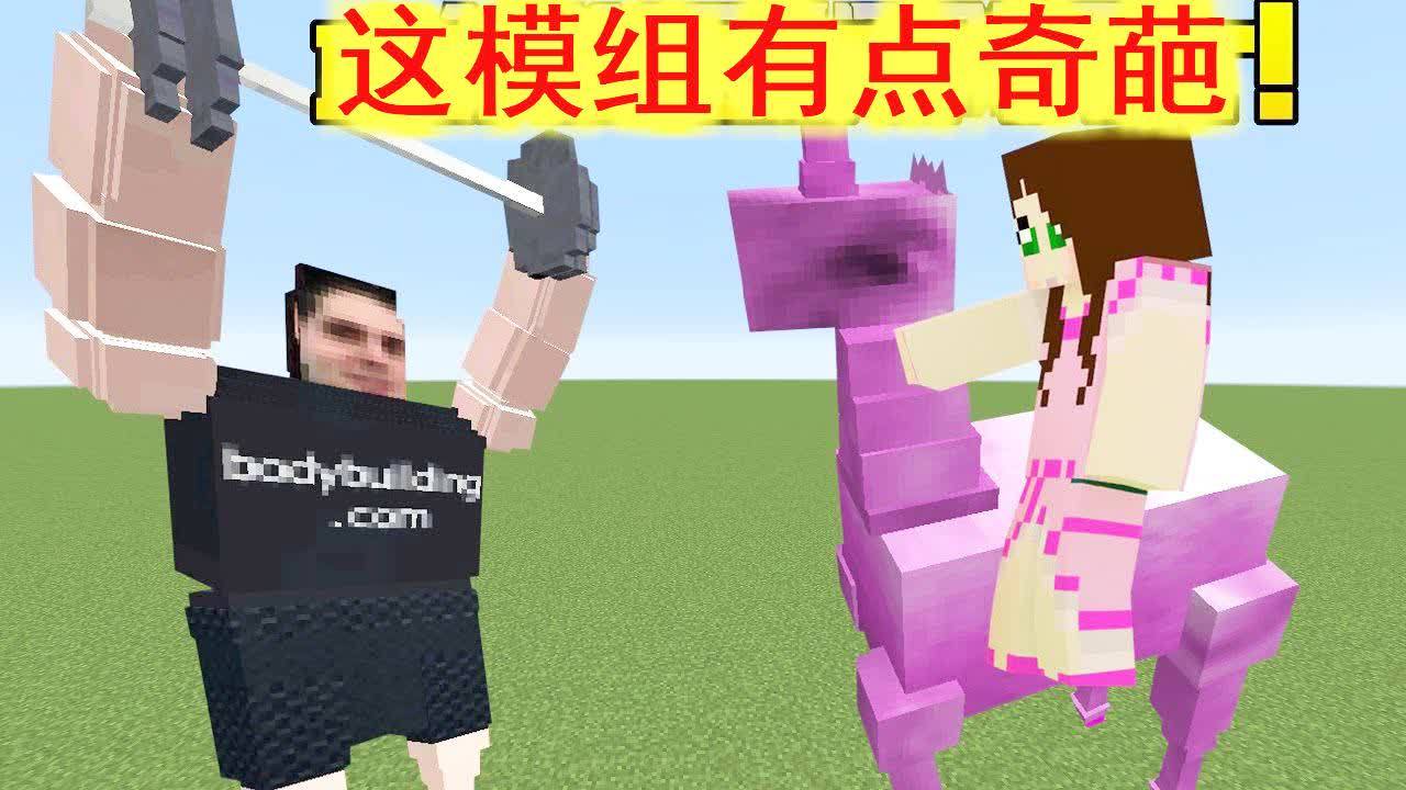 我的世界 外国实况主把自己做成了模组,有点奇葩!