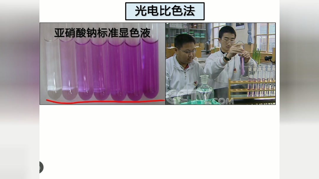 泡菜制作及亚硝酸盐的测定