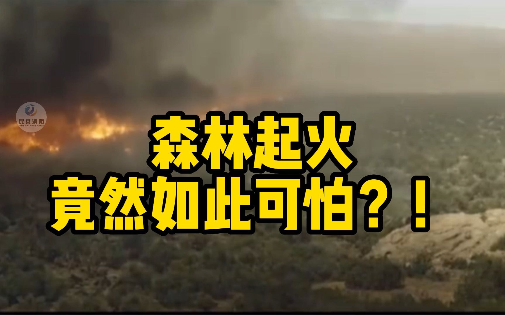 森林起火竟然如此可怕?!
