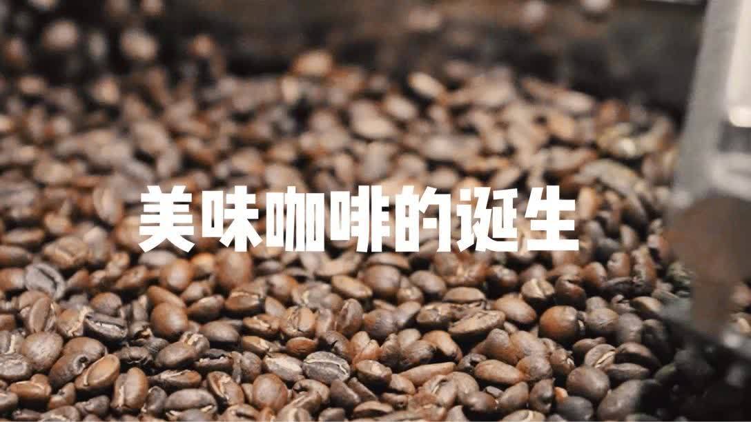 一杯咖啡的诞生| 如何挑选咖啡豆