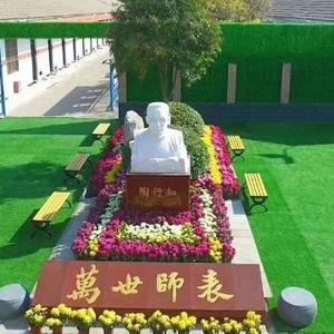 热情的柑桔zm 