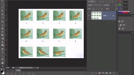 PS基础教程系列85 帧动画教程