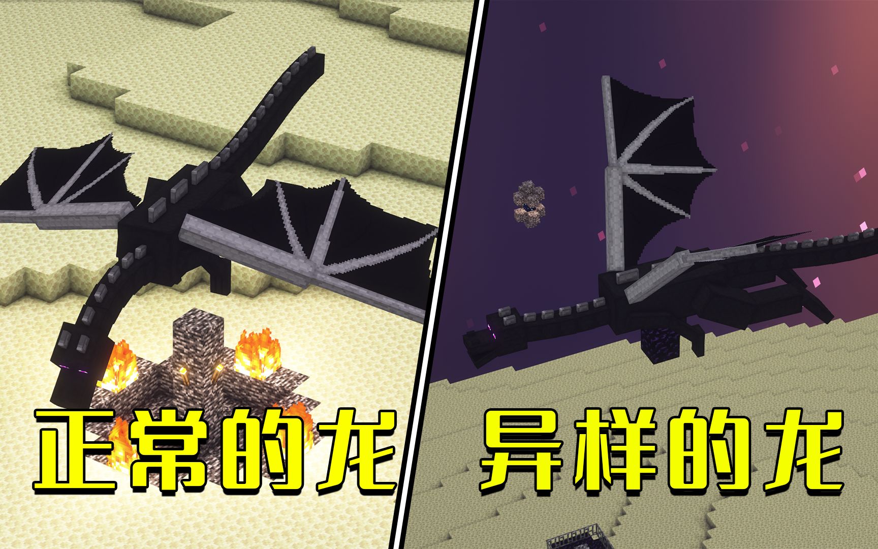 我的世界:5个MC冷知识,给末影龙加“亿点”难度