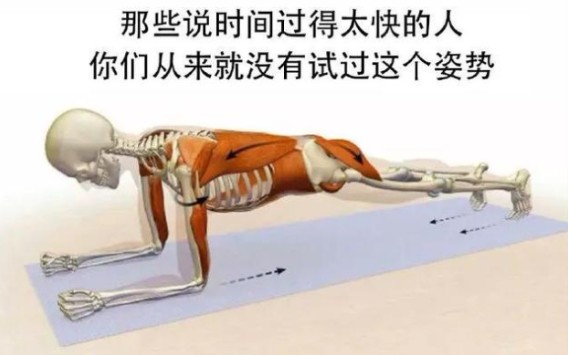 有网上那些令你笑到窒息的沙雕图片