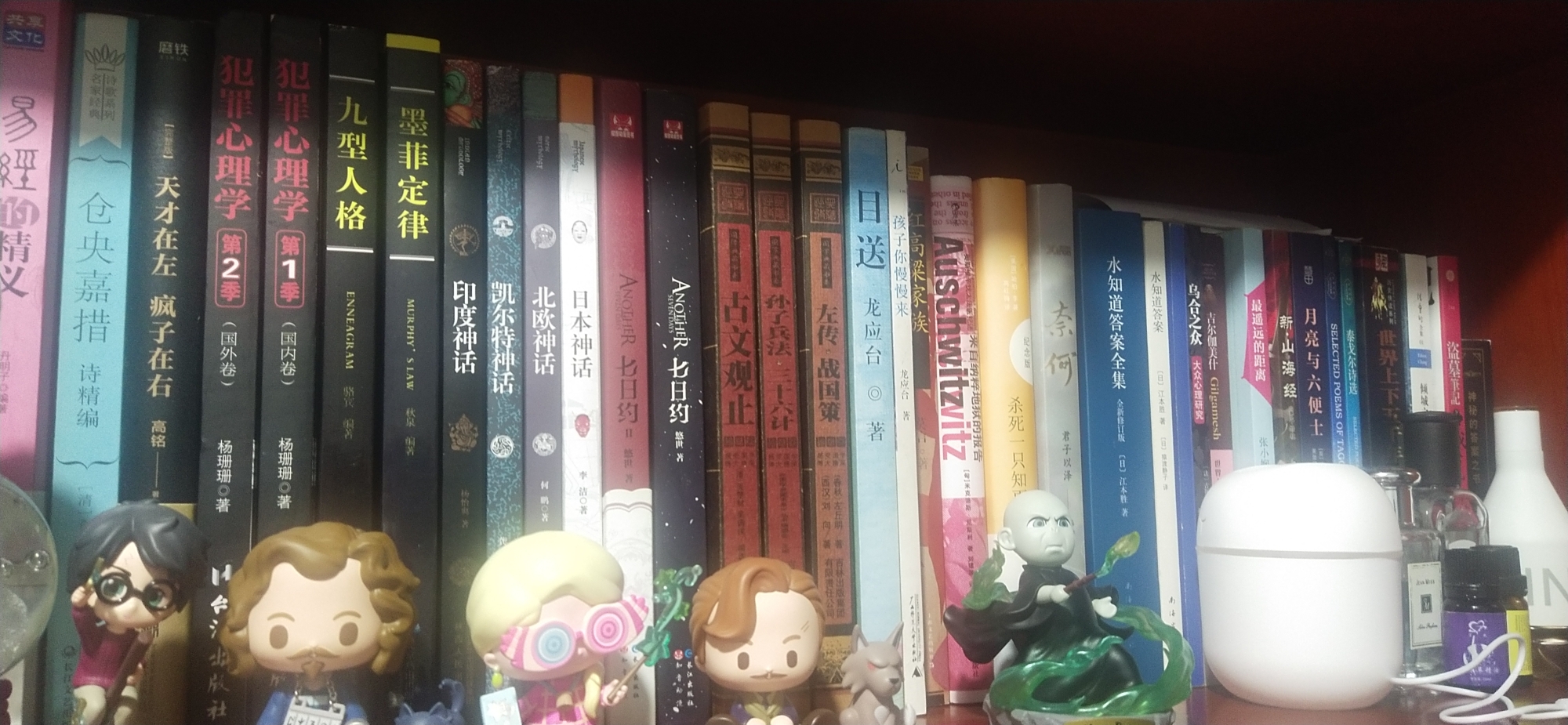 UP主启航计划我的小小书架