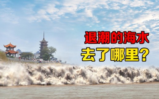 大海为什么会涨潮落潮?退潮的海水去了哪里?
