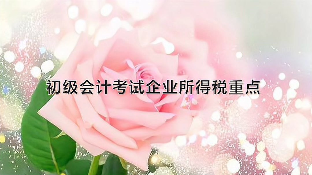 企业所得税考点三03
