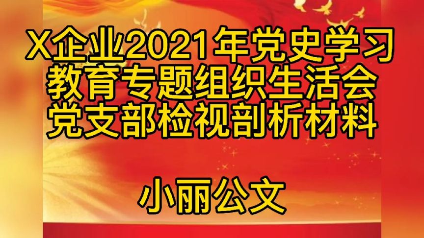 X企业2021年党史学习教育专题组织生活会党支部检视剖析材料范文