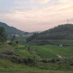 电商小杨 