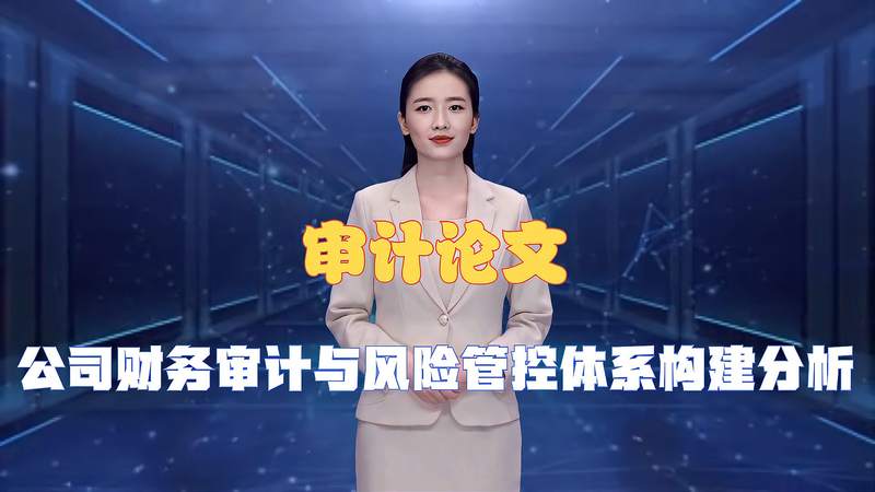 公司财务审计与风险管控体系构建分析