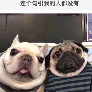 东方智仔 