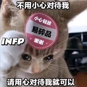 infj猫猫 
