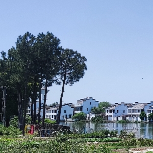 视频到底怎么剪啊 