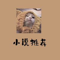 毛毛英语讲 