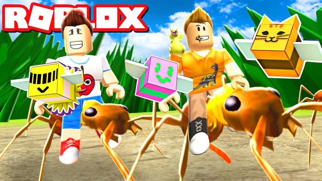 小格解说 Roblox养蜂模拟器:参加蚂蚁挑战试炼!孵化可爱新蜜蜂!