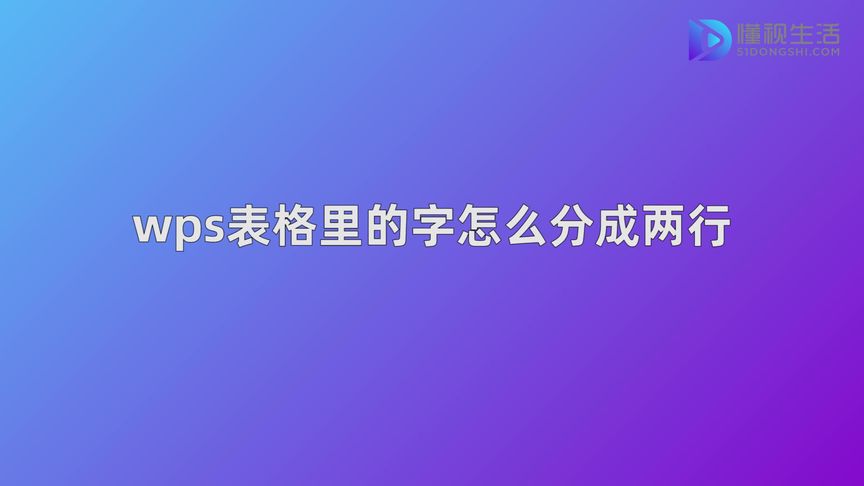 wps表格里的字怎么分成两行