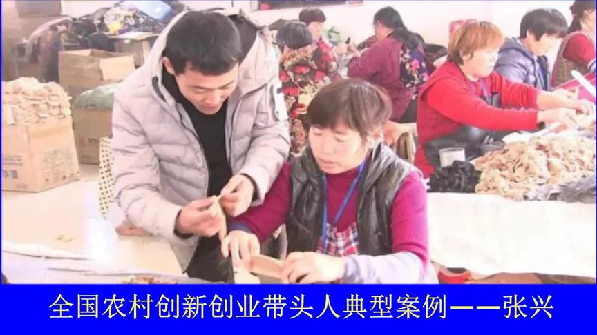 乡村振兴创业典型案例
