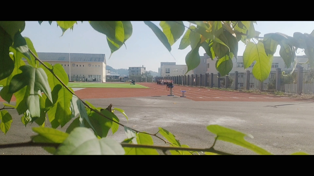 一年一度学生体质健康测试周