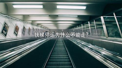 自动扶梯突然停了为什么不行走?