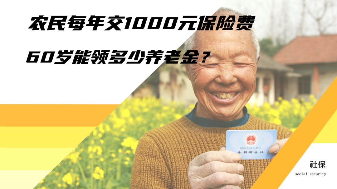 农民每年交1000元养老保险,缴满15年,60岁能领多少养老金?