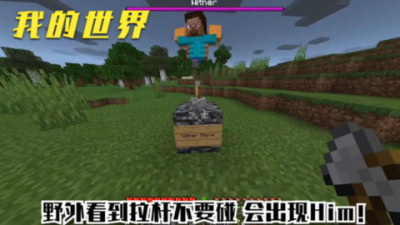 我的世界:野外看到拉杆不要去拉,里面会跑出来一个Him凋零!