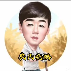 豫东晓鹏 