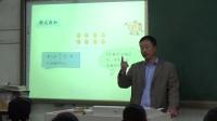 1.苏教版数学六年级上册《2、整数除以分数》安徽省县级优课