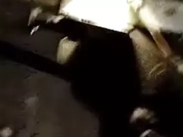 隧道管棚钻机工作视频