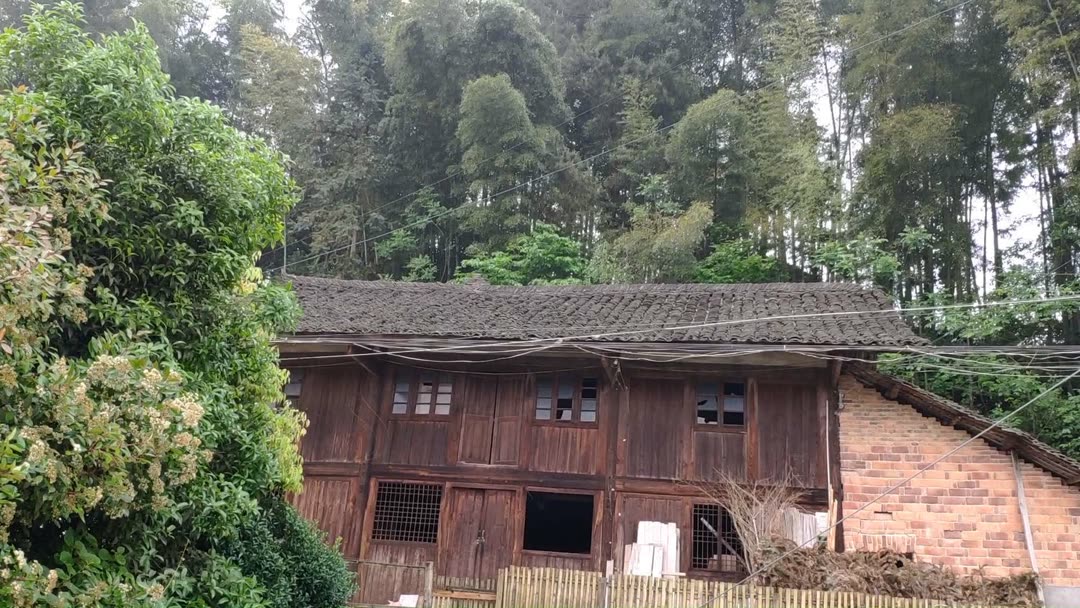 路过农家院子,鸡生蛋啦,一直咕咕咕叫。乡村木房子。
