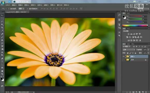 ps蒙版 ps新手入门教程 ps调色教程视频