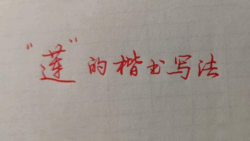 硬笔书法:莲,草字头走之底给你通通讲一遍,值得收藏!