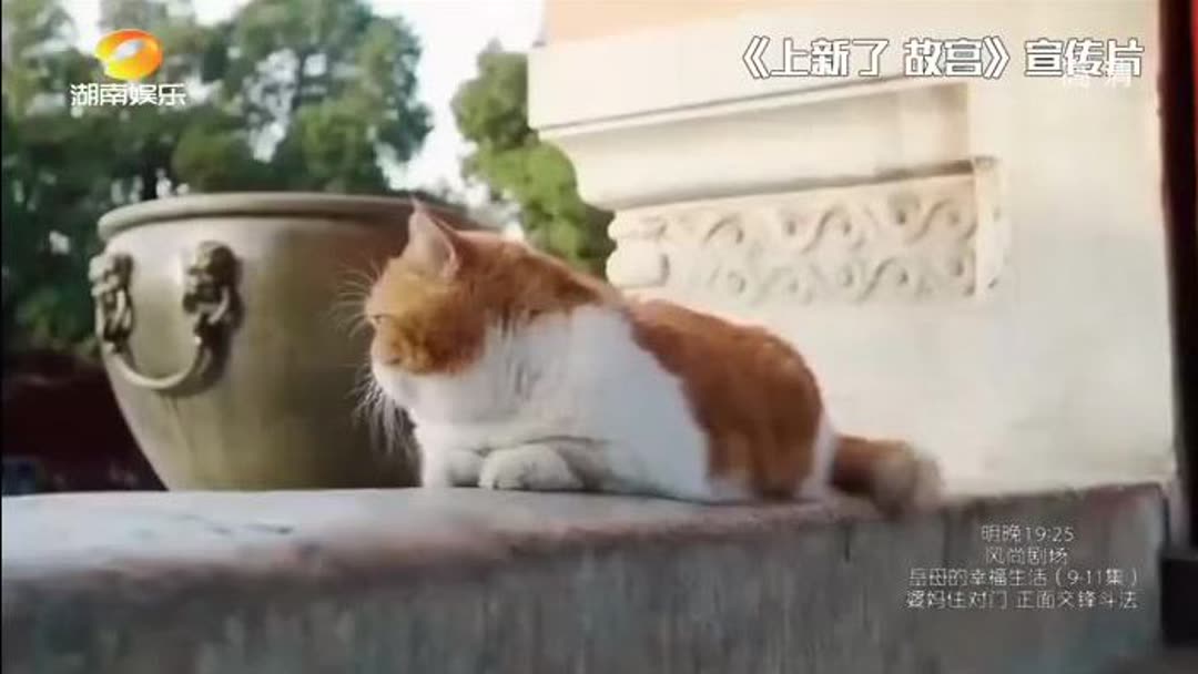 《上新了 故宫》宣传片曝光 两大男神带你探索故宫