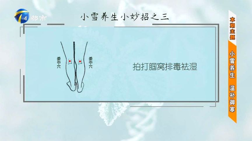 经络穴位养生,教你如何拍打经络穴位,健康过冬!|健康直播间