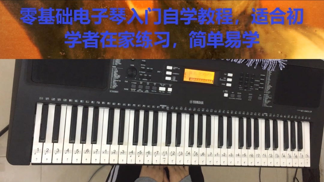 零基础入门学习电脑办公表格文档,电脑键盘主键盘区讲解