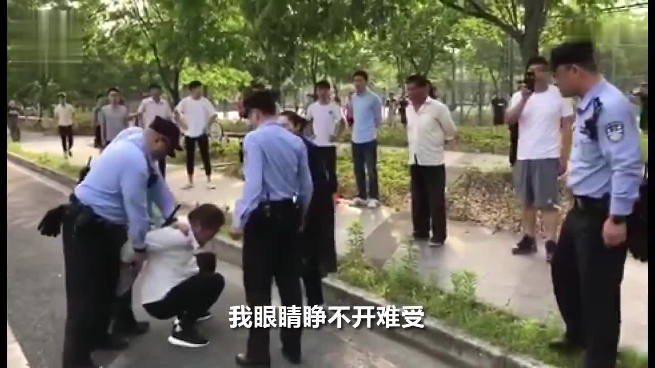 警察执法视频火了 “教科书式执法”点赞!