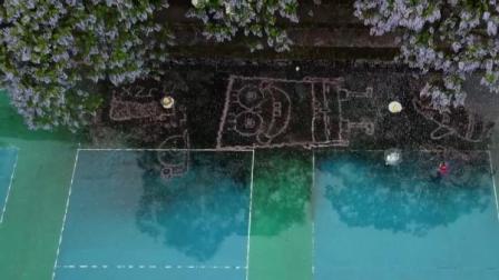 西南大学的“初夏限定浪漫”,用花瓣画出校园风景线