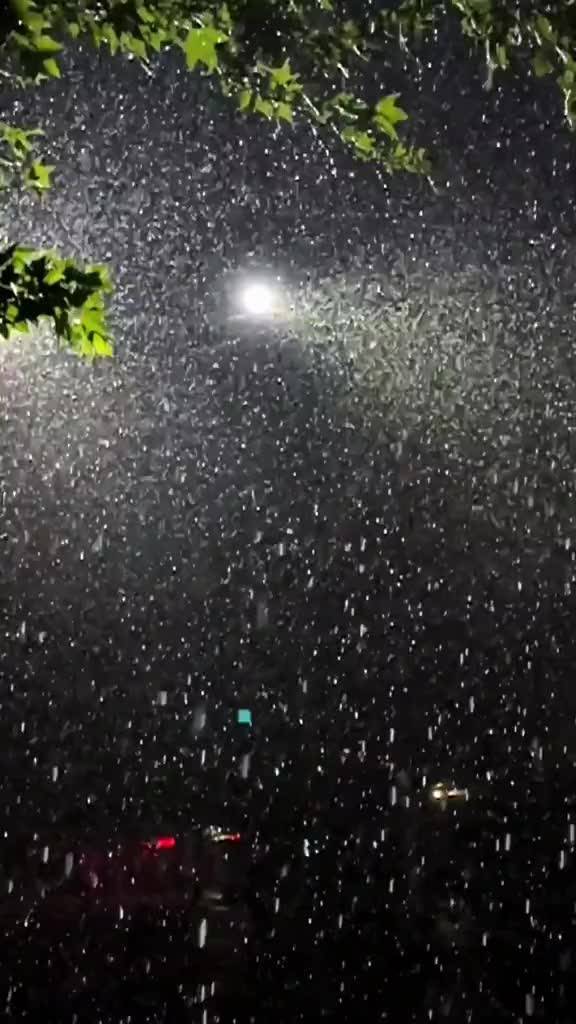 我的世界一直下雨我处理不好