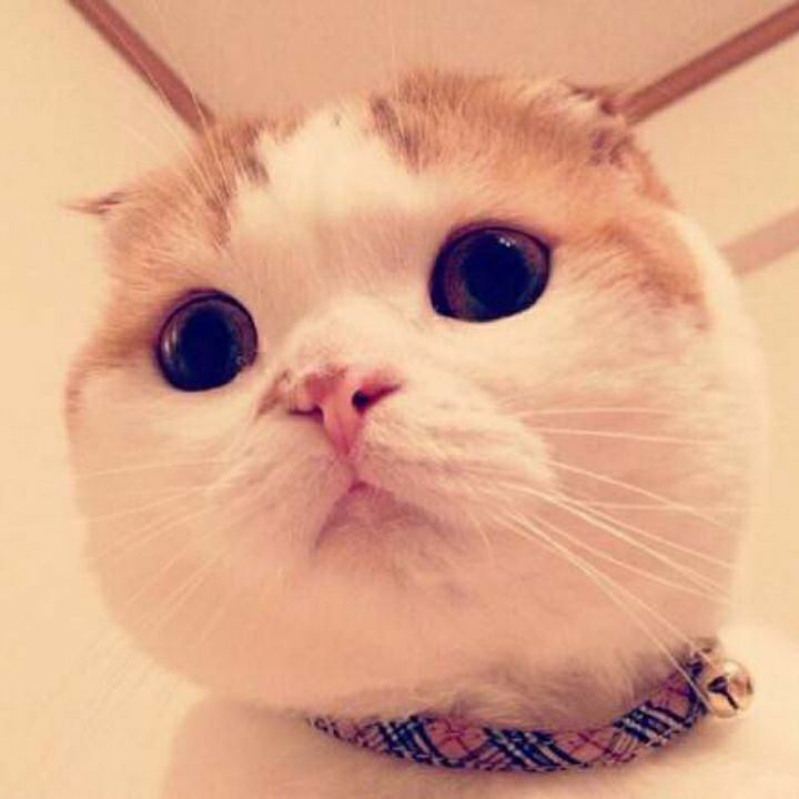 优酷用户1574754053822884 